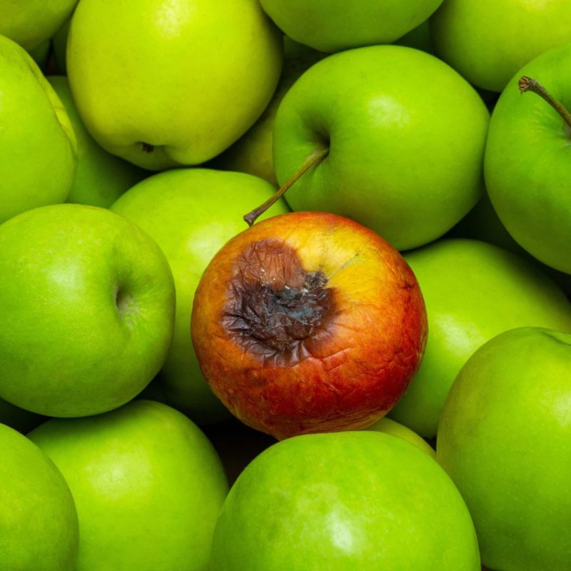 Hoe ga je om met de ‘rotte appel’ uit je team? - de TalentenLeider